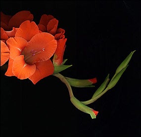 Katinka Matson Image Gallery