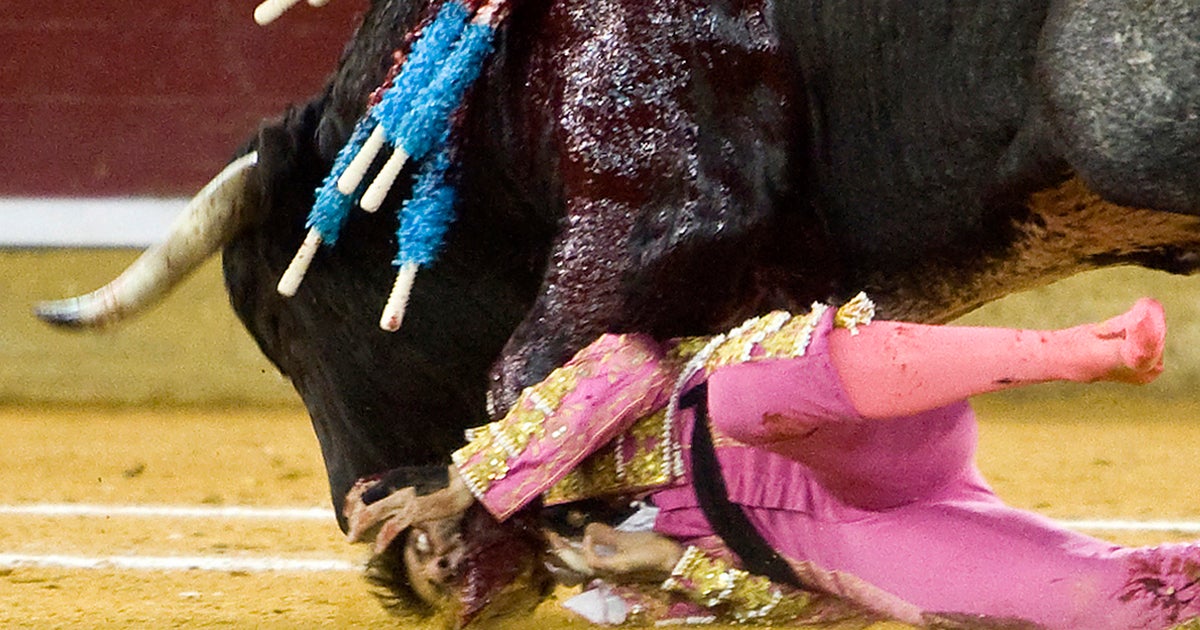Spanish bullfighter survives severe goring - CBS News