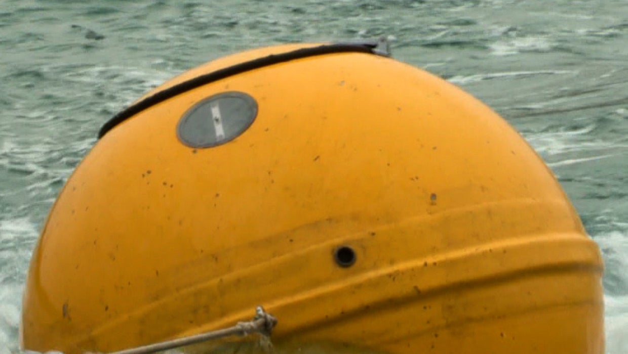 Survival ark at cutting edge of tsunami safety - CBS News