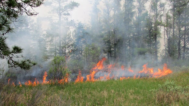 Fast-moving Michigan wildfire burns 17,000 acres - CBS News