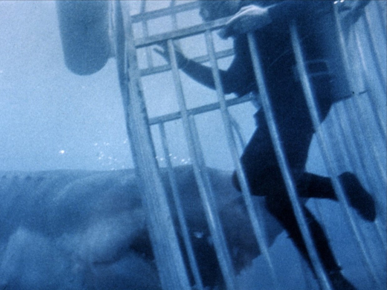 50 essential horror films for Halloween