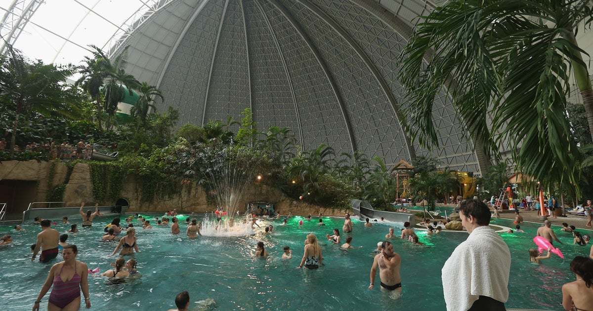 Indoor tropical oasis