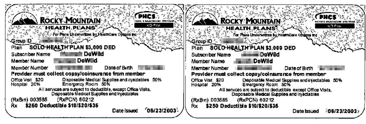 Identical DeWild twins nearly pull off perfect crime