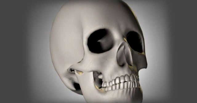 Human skull donated to Goodwill - CBS News