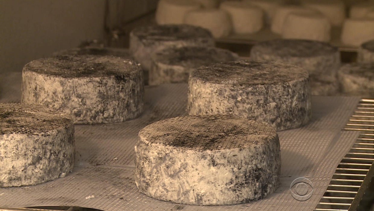 Colorado's prison inmates go from hard time to soft cheese - CBS News