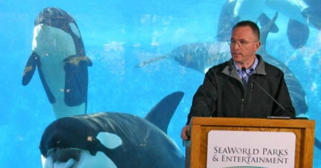 Sea World CEO is stepping down - CBS News