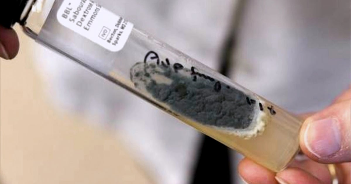 The contaminated lab that produced lethal drugs - CBS News