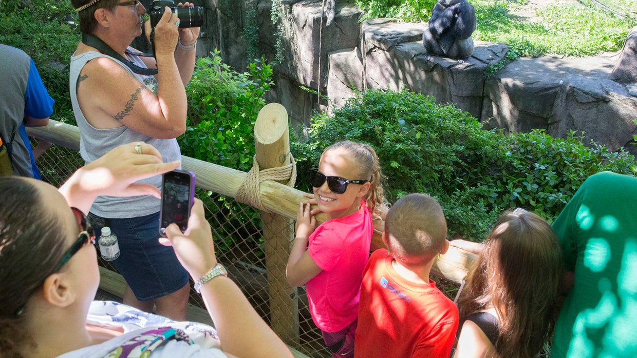 Feds: Ohio zoo’s barrier didn't meet standards day Harambe shot - CBS News