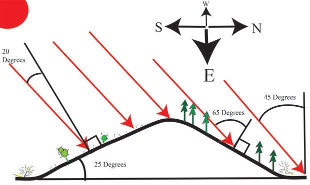 Nature up close: Educating your eyes - CBS News