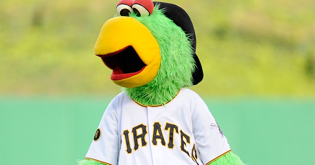 Watch: Pirate Parrot Blamed For 'Buc Night' Hot Dog Bun Shortage - CBS ...