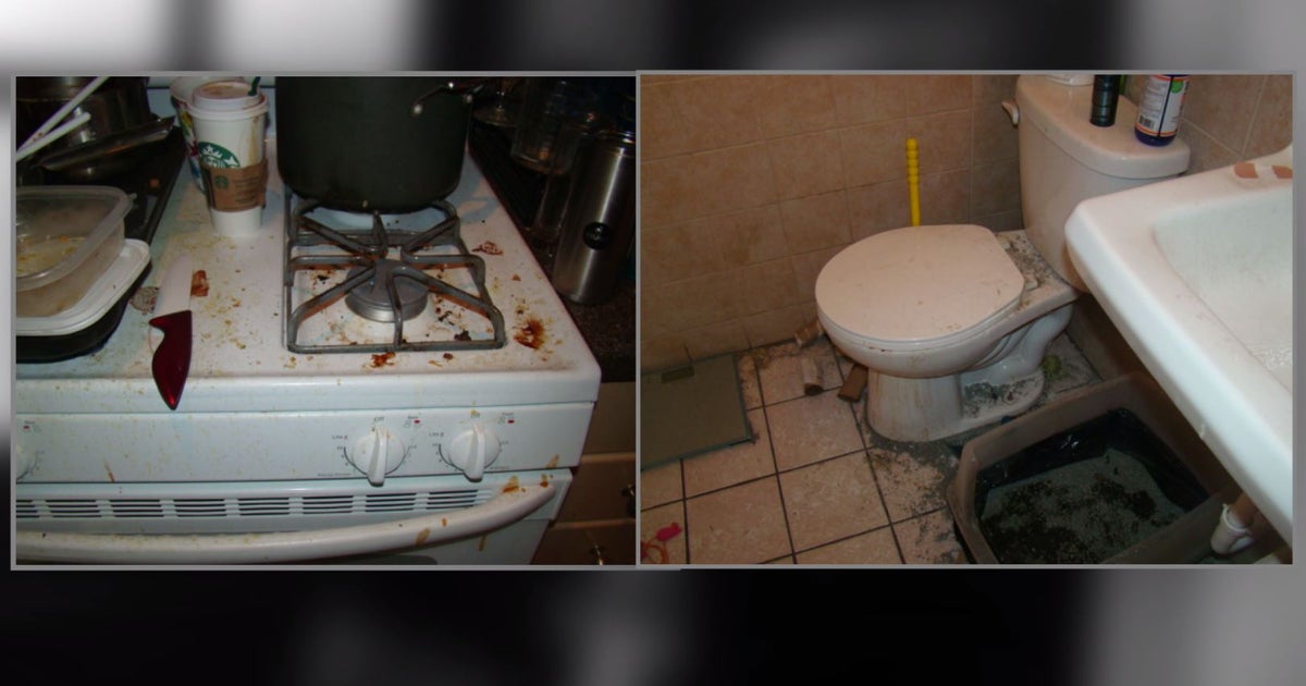 Attorney Skye Allen Accused Of Trashing Another Apartment, And Failing ...