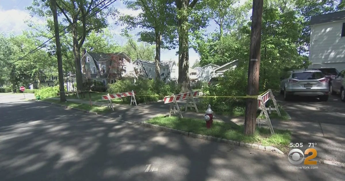 Mom, Baby Struck By Tree Branch In N.J. - CBS New York
