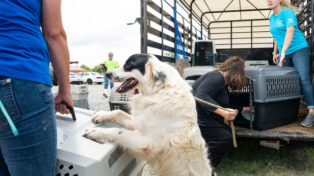 Mexico hail storm: Up to 6 feet of ice dropped in Guadalajara, just ...