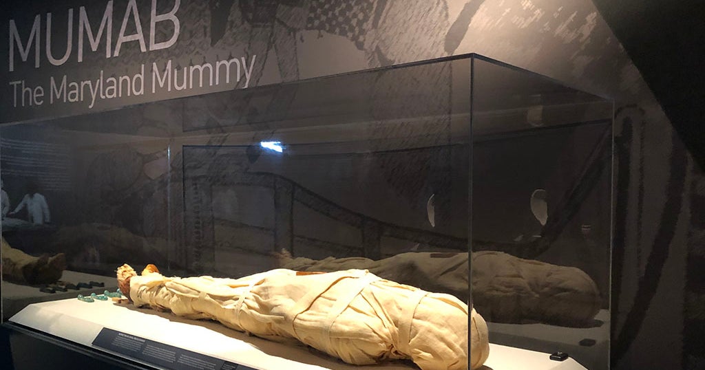 Pioneering Scientist Involved In Pittsburgh's Mummy Exhibit Visits Town ...