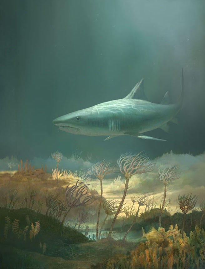 330-million-year-old shark found in Mammoth Cave in Kentucky - CBS News