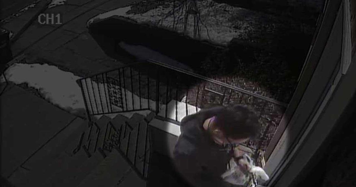 Haley Anderson murder: Crime scene evidence photos - CBS News