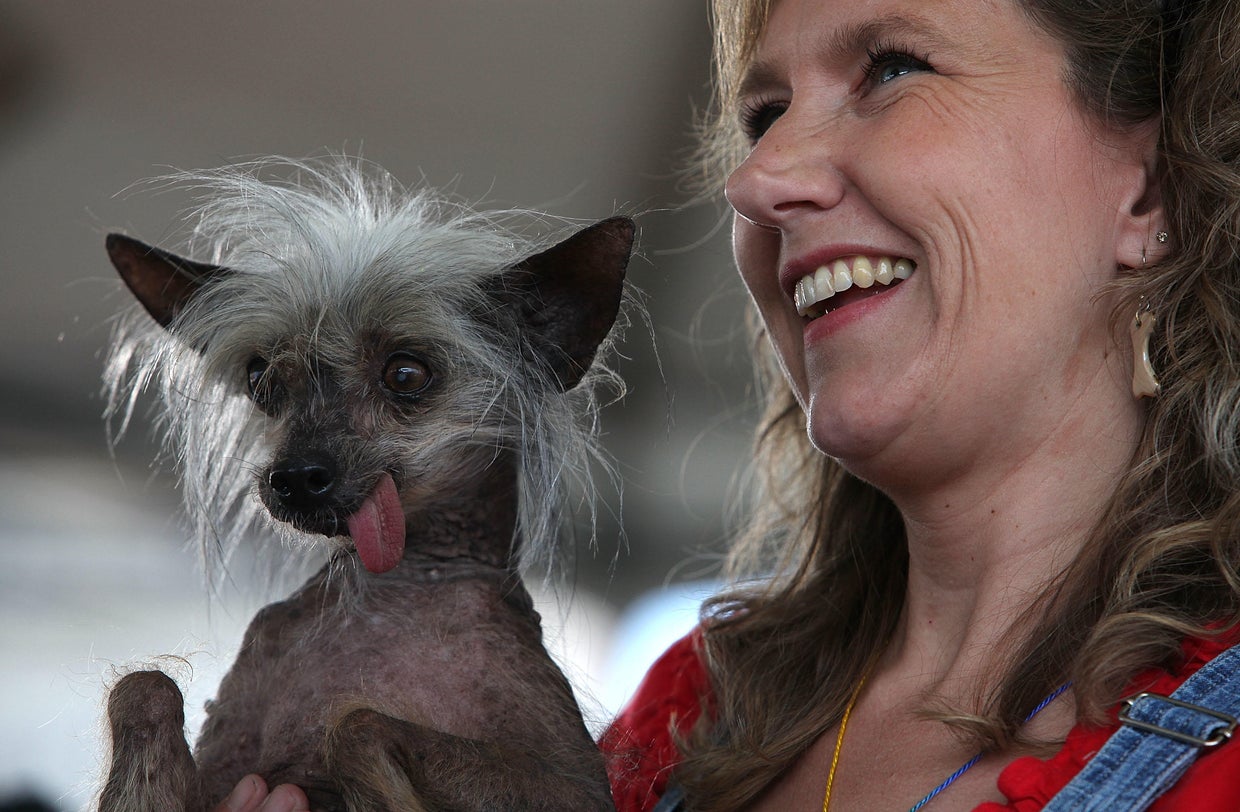 The most popular dog breeds in America