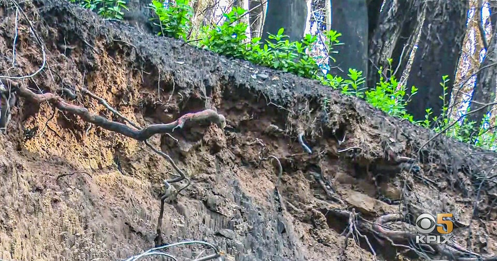 Santa Cruz Mountains Residents Wary as Storms Drench Slide-Prone Burn ...