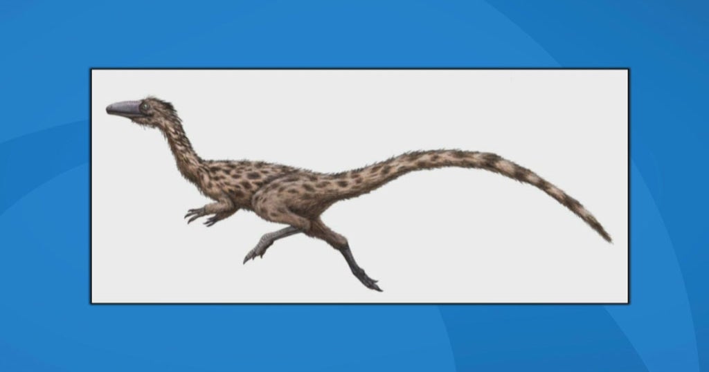Podokesaurus Becomes Candidate For Official Dinosaur Of Massachusetts ...