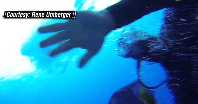 Scuba diving attack - caught on tape - CBS News