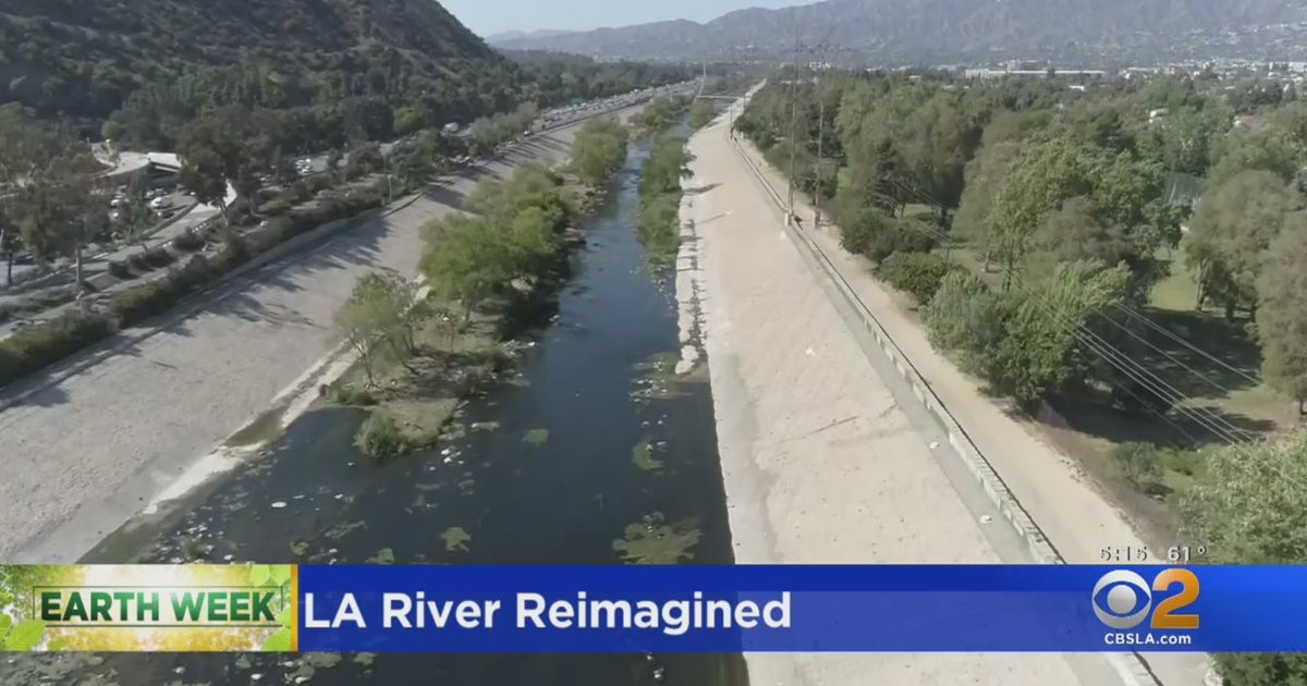 Friends Of The LA River Plans Huge Summer Cleanup; County Seeks Comment ...
