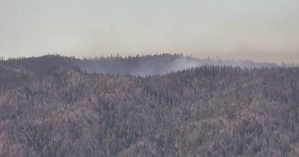 UPDATE: Grade Fire Burning In CZU Complex Area Contained; Hihn Hammond ...