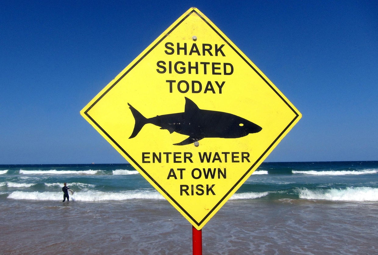 Shark attack kills man in Sydney's first such death in almost 60 years ...